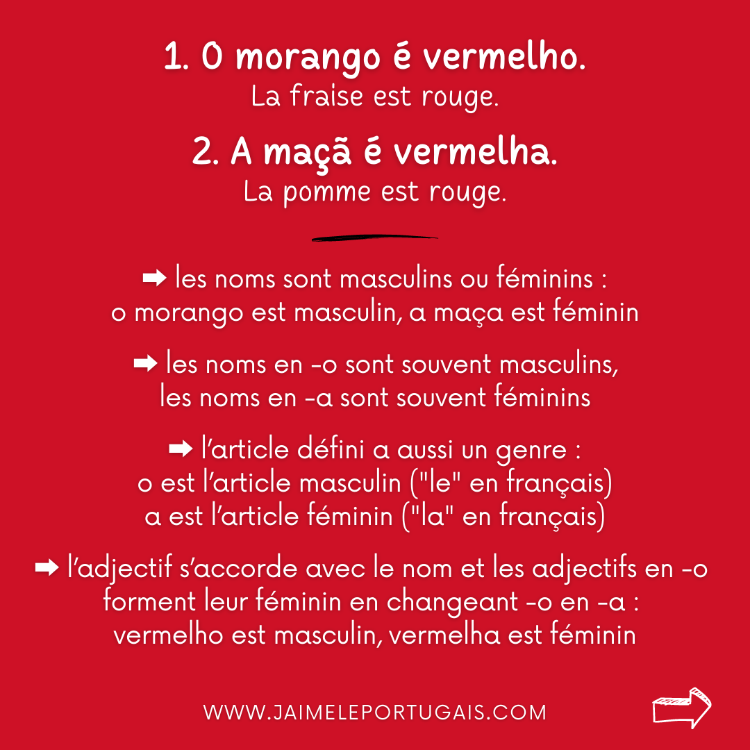 10 phrases magiques pour apprendre la grammaire portugaise – Apprenez ...